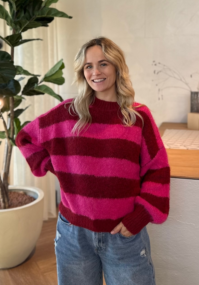 Trui lena streep roze/bordeaux - Studio Jill